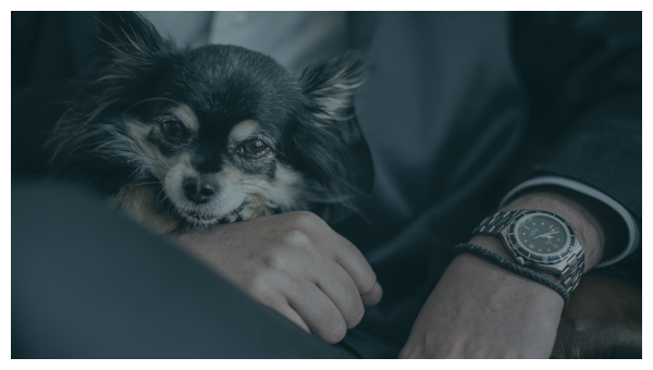 Om oss | SRS Security